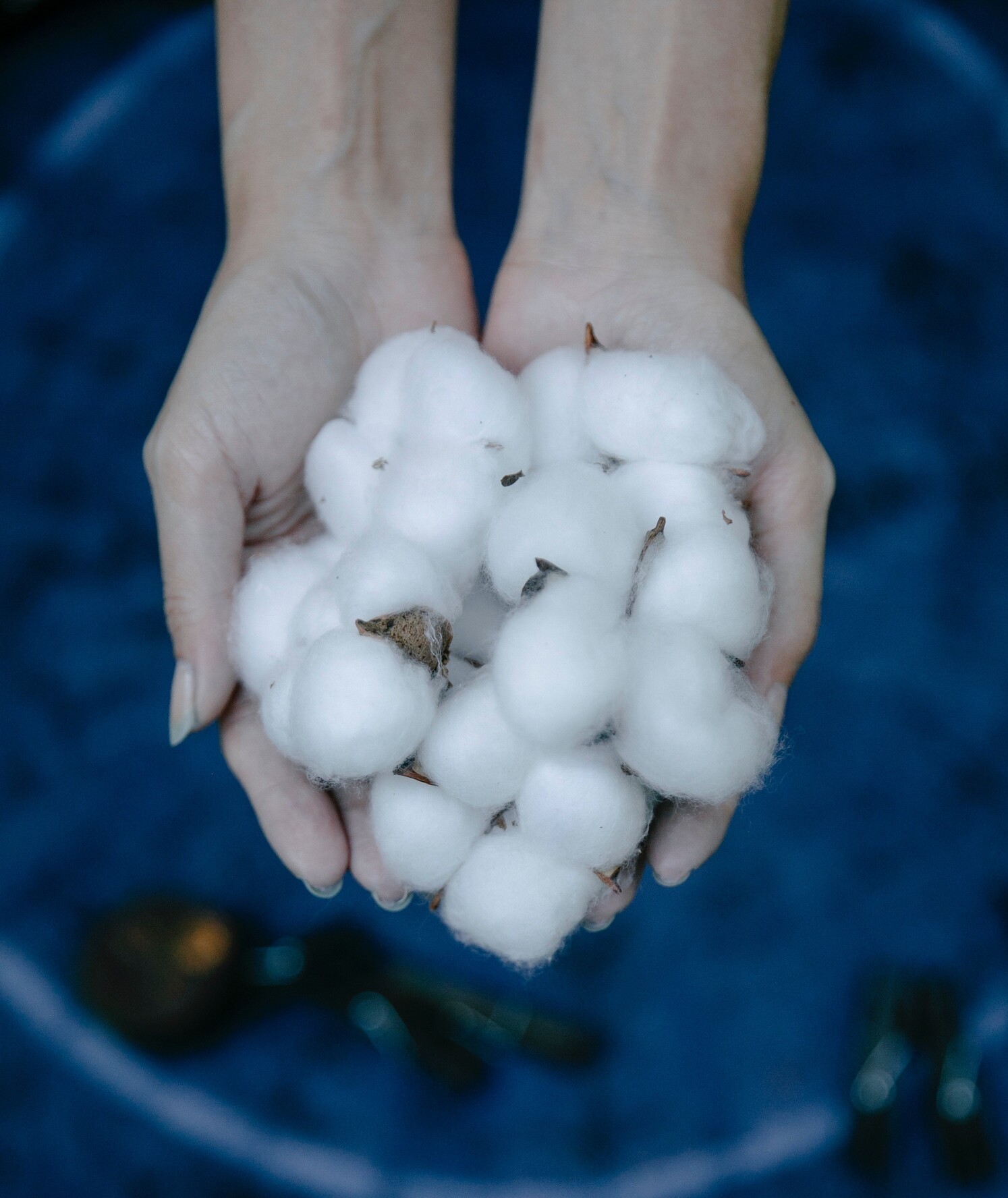 Cotton; Labour, Land and Body – a Textile Guide - SUZSTAINABLE