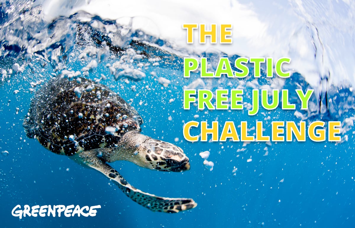 How We Can Live Plastic-Free (And Actually Make It Stick) - SUZSTAINABLE